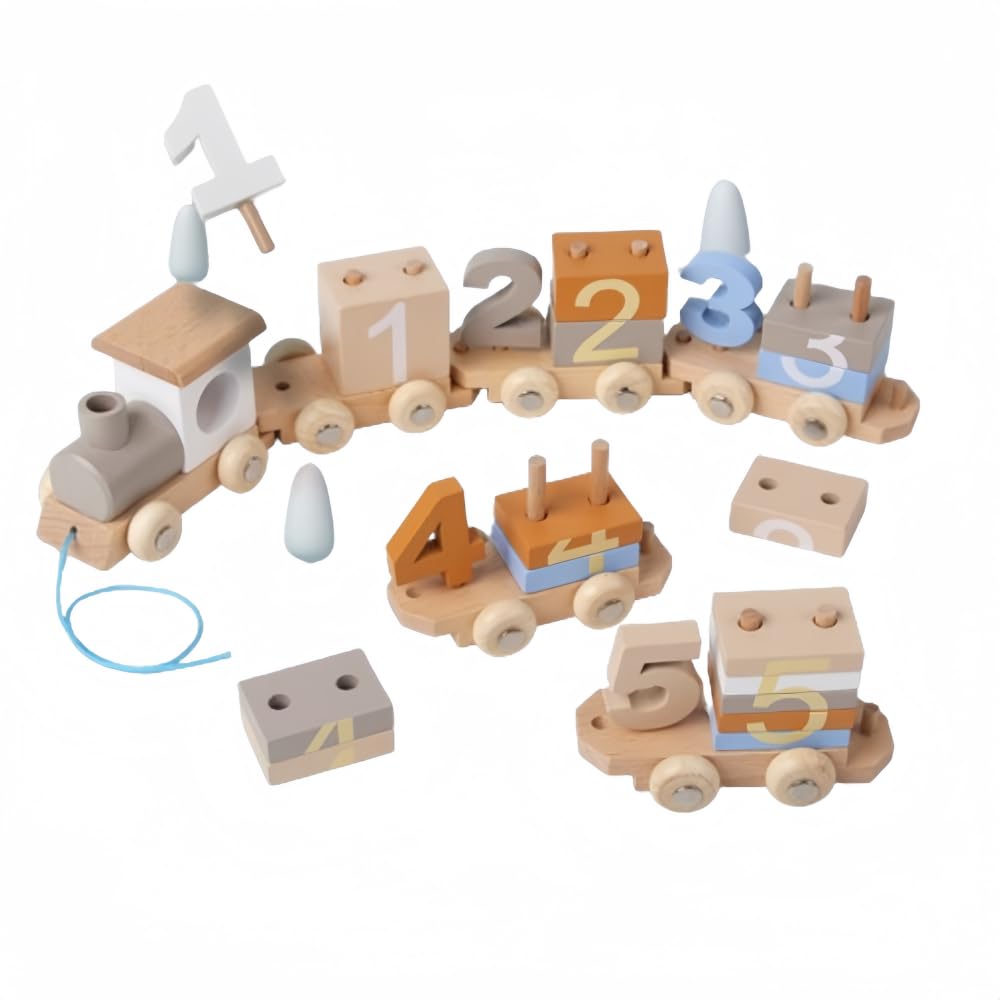 Montessori Wooden Digital Train Toy – Educational Number & Pattern Lea ...